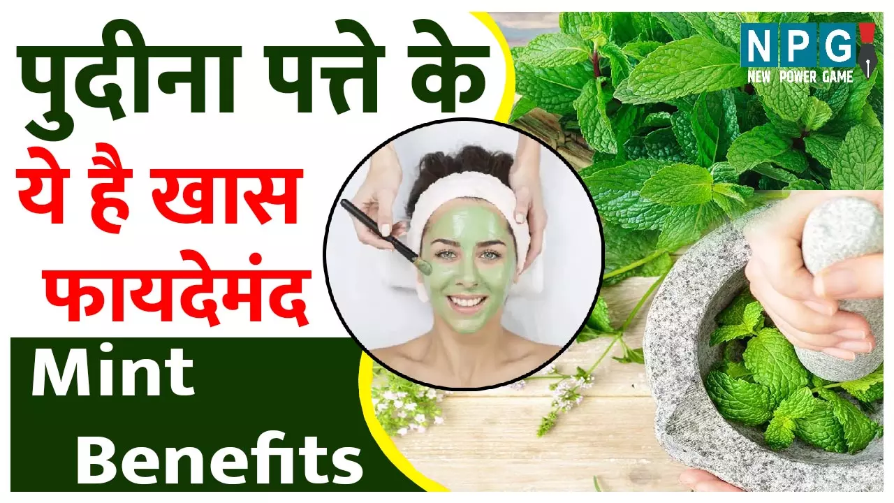 Mint Benefits: ताज़गी भरा पुदीना बचाएगा लू से, गैस-एसिडिटी दूर करेगा और ...