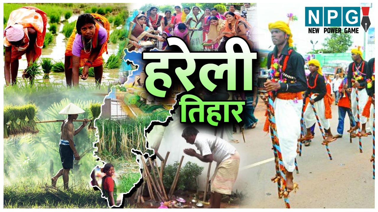 Chhattisgarh Hareli Tihar 2023: जाने हरेली तिहार से जुड़ी कुछ खास बातें ...