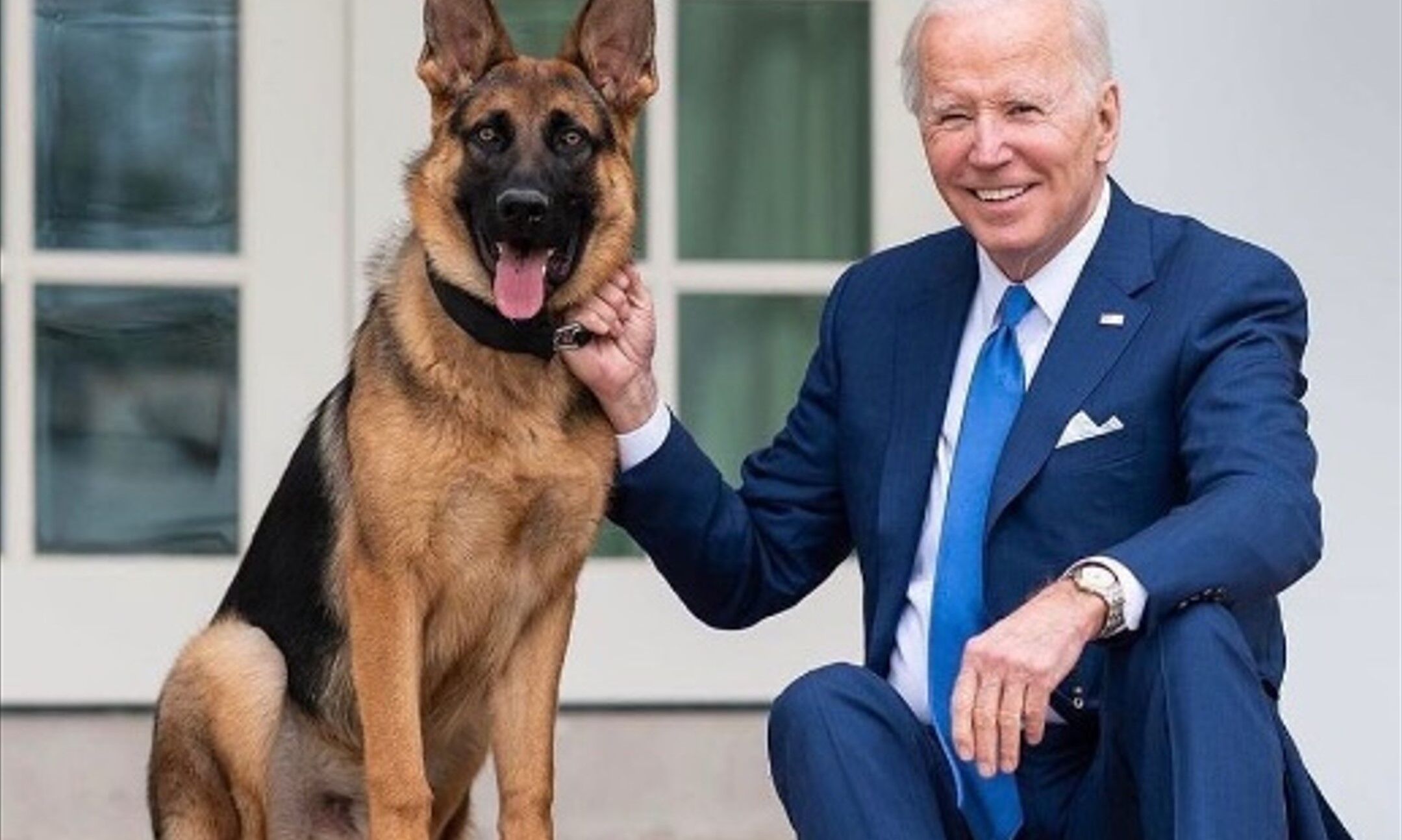President Biden Dog: राष्ट्रपति बाइडन के कुत्ते ने सीक्रेट सर्विस एजेंट ...
