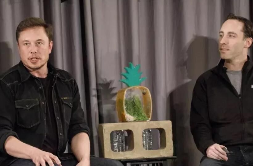 Elon Musk and advisor Steve Davis News: एक्स पर दायर हुआ मुकदमा, किसने ...