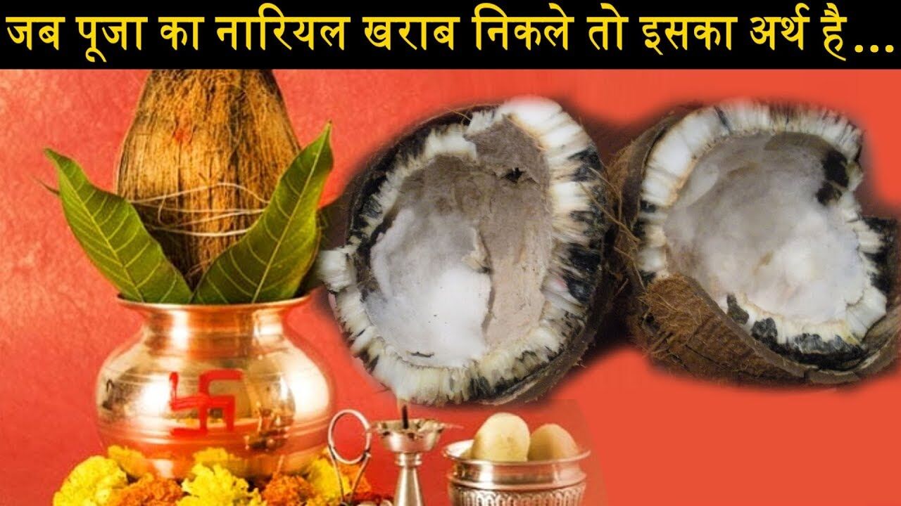 Bad Coconut in Pooja : जब पूजा में चढ़ा नारियल खराब या सूखा निकल जाता ...
