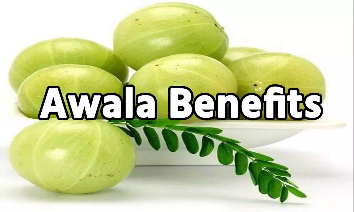 Awala Benefits: एक आंवला हर रोज़ खाया तो सर्दियों में मिलेगी निरोगी ...