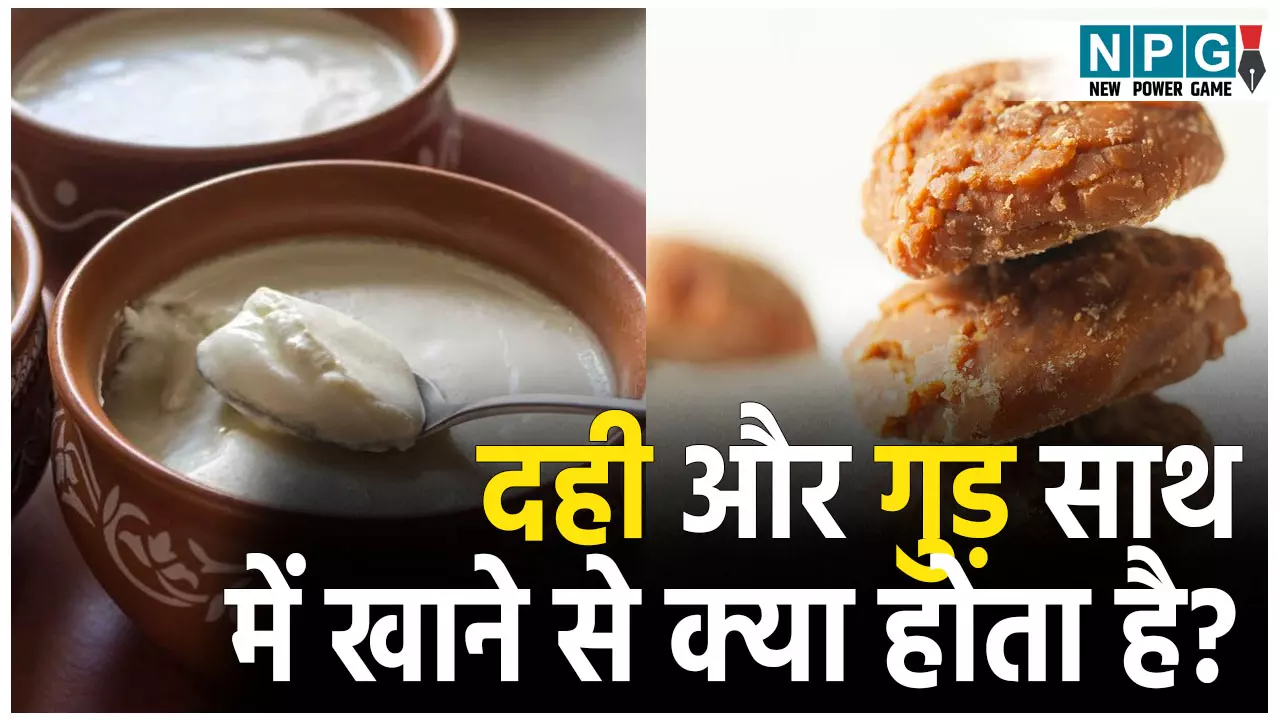 Dahi Aur Gud Khane Ke Fayde: गर्मी में दही और गुड़ साथ में खाने से क्या ...