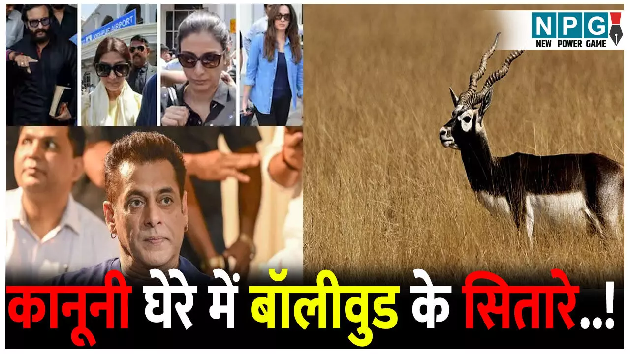 Salman Khan Kala Hiran Case: 26 साल बाद फिर सवालों के घेरे में ये बॉलीवुड स्टारकास्ट, 28 जुलाई ...