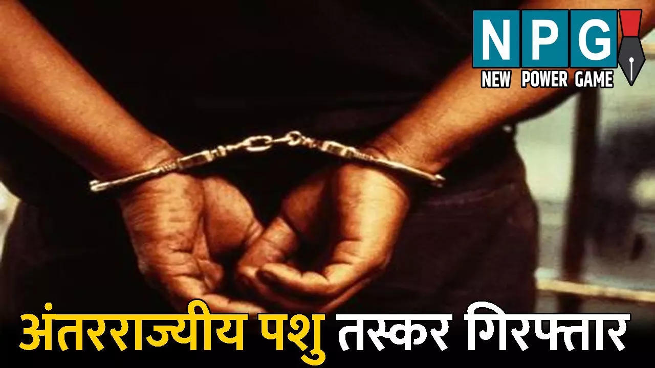 CG Crime News: बड़ी सफलता: पुलिस के हत्थे चढ़ा अंतरराज्यीय पशु तस्कर, लंबे समय से चल रहा था फरार ...