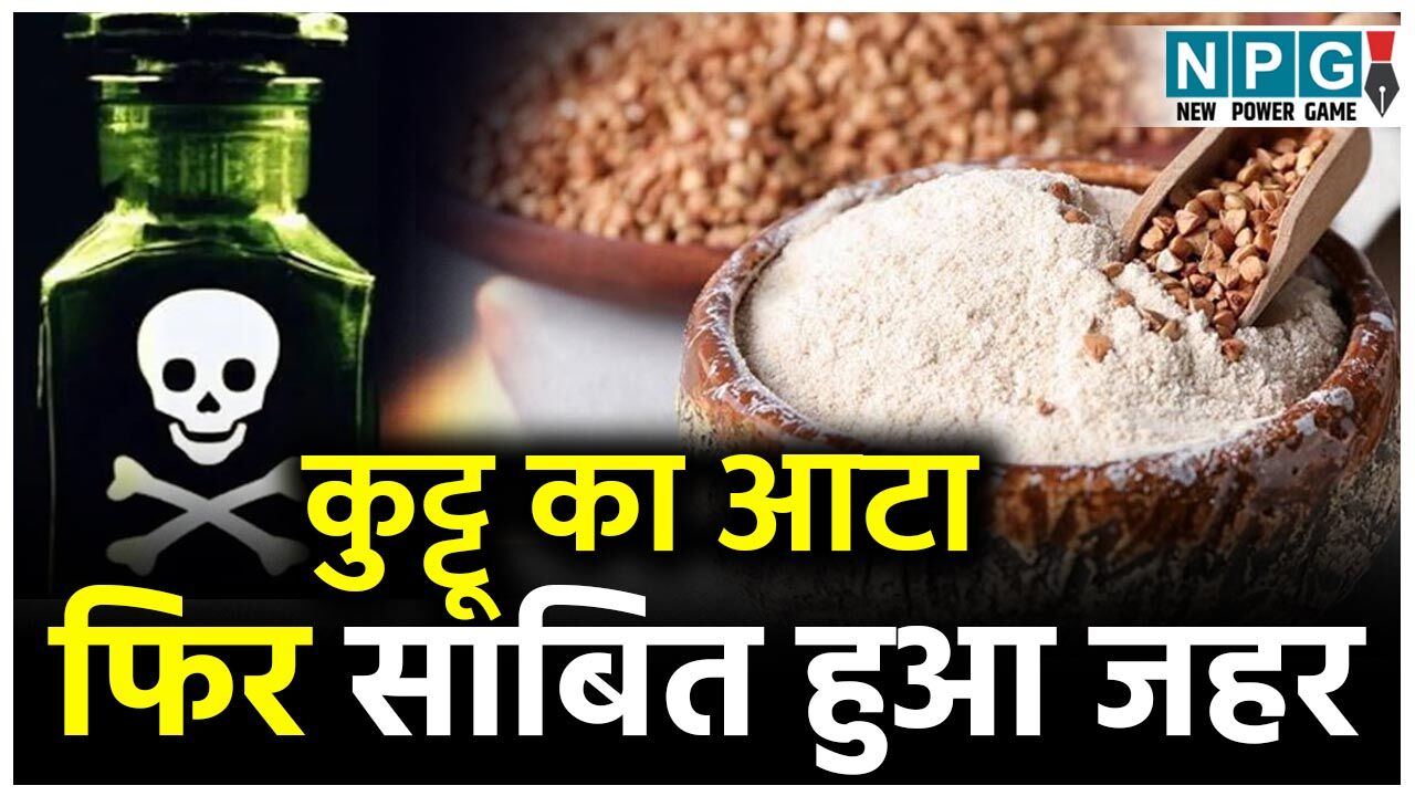 Kuttu Atta Side Effects: नवरात्रि फलाहार में कुट्टू का आटा फिर साबित ...